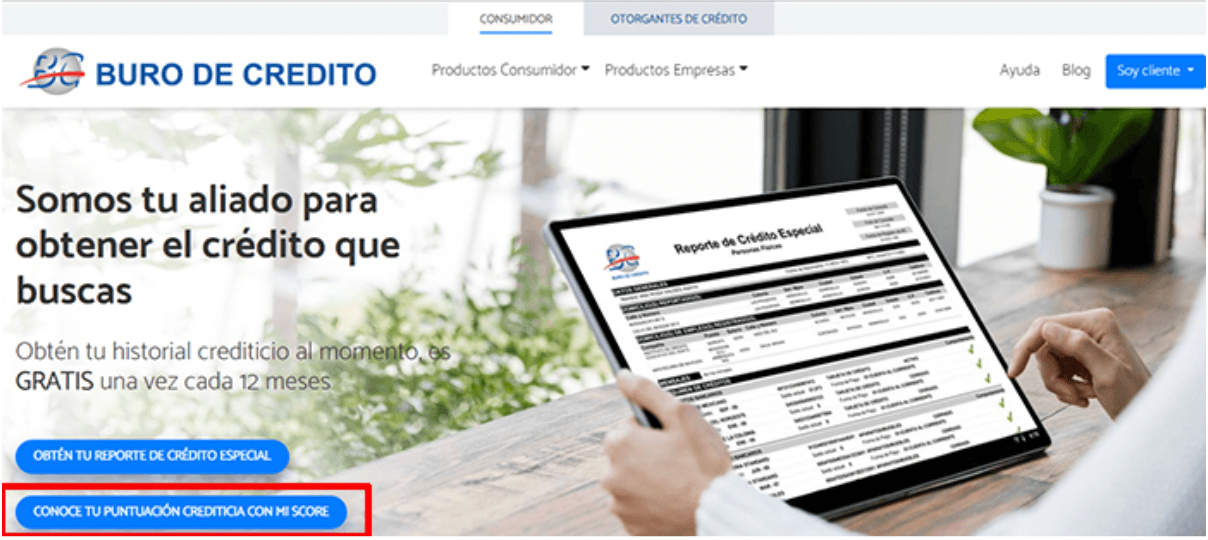 ¿Cómo saber mi score crediticio? | Creditea
